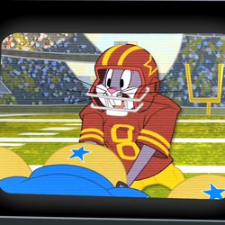 Daffy Duck And Bugs Bunny Football