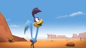 Road Runner | The Looney Tunes Show Wiki | Fandom