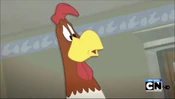 Chicken Hawk | The Looney Tunes Show Wiki | Fandom