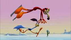 Looney Tunes Show Roadrunner