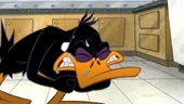 Daffy Duck | The Looney Tunes Show Wiki | Fandom