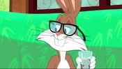Rodney Rabbit | The Looney Tunes Show Wiki | Fandom