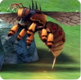 Scalewing Soldier | Loong Online Wiki | Fandom