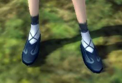 Qing Wu Shoes | Loong Online Wiki | Fandom