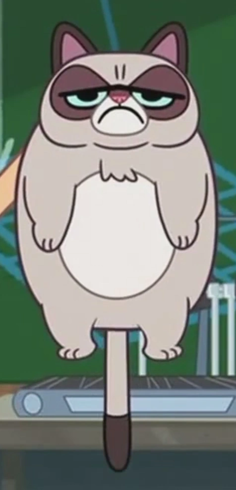 Grumpy Cat | Looped Wiki | Fandom