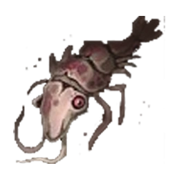 Phoenix Tail Shrimp | Lootify Wiki | Fandom