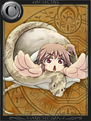 Genbu | Lord of Valkyrie Wiki | Fandom