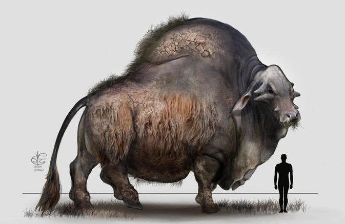 Auro | LordoftheBeans Wiki | Fandom