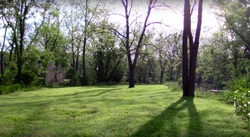 Mekron Woods | LordStarscream100 Wiki | Fandom