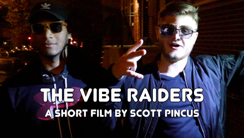 The Vibe Raiders | LordStarscream100 Wiki | Fandom