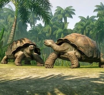 Giant Mabuso Toise | Lore Wikia Wiki | Fandom