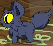 Doomkitten | Lore Wiki | Fandom