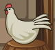Chicken | Lore Wiki | Fandom