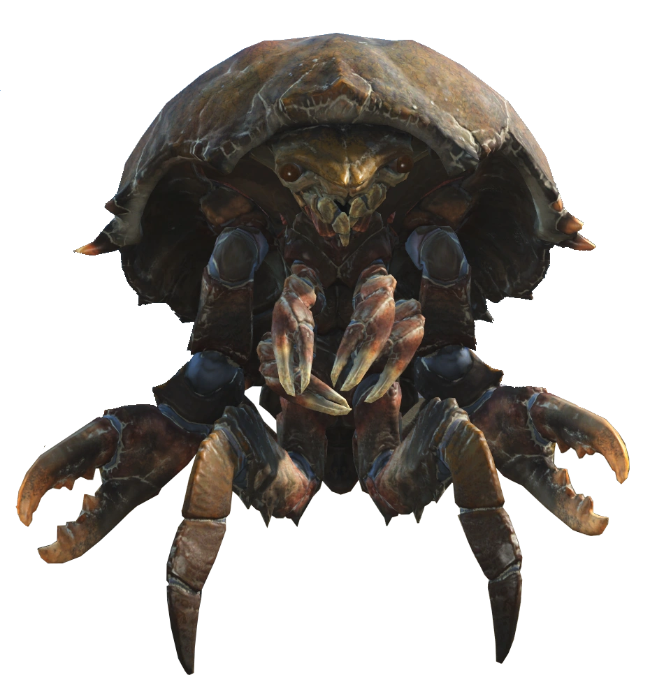 Mirelurks | Wiki Lorepedia-Fallout | Fandom