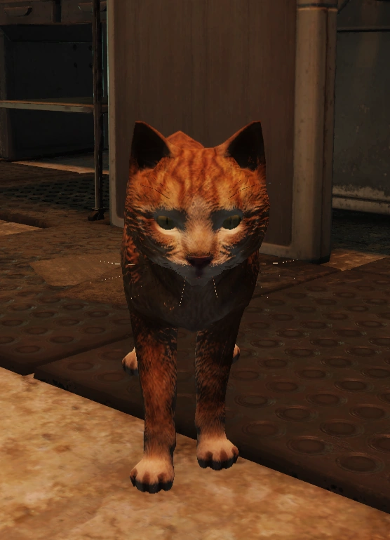 Gatos | Wiki Lorepedia-Fallout | Fandom