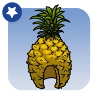 Hollow Pineapple | Lorwolf Wiki | Fandom