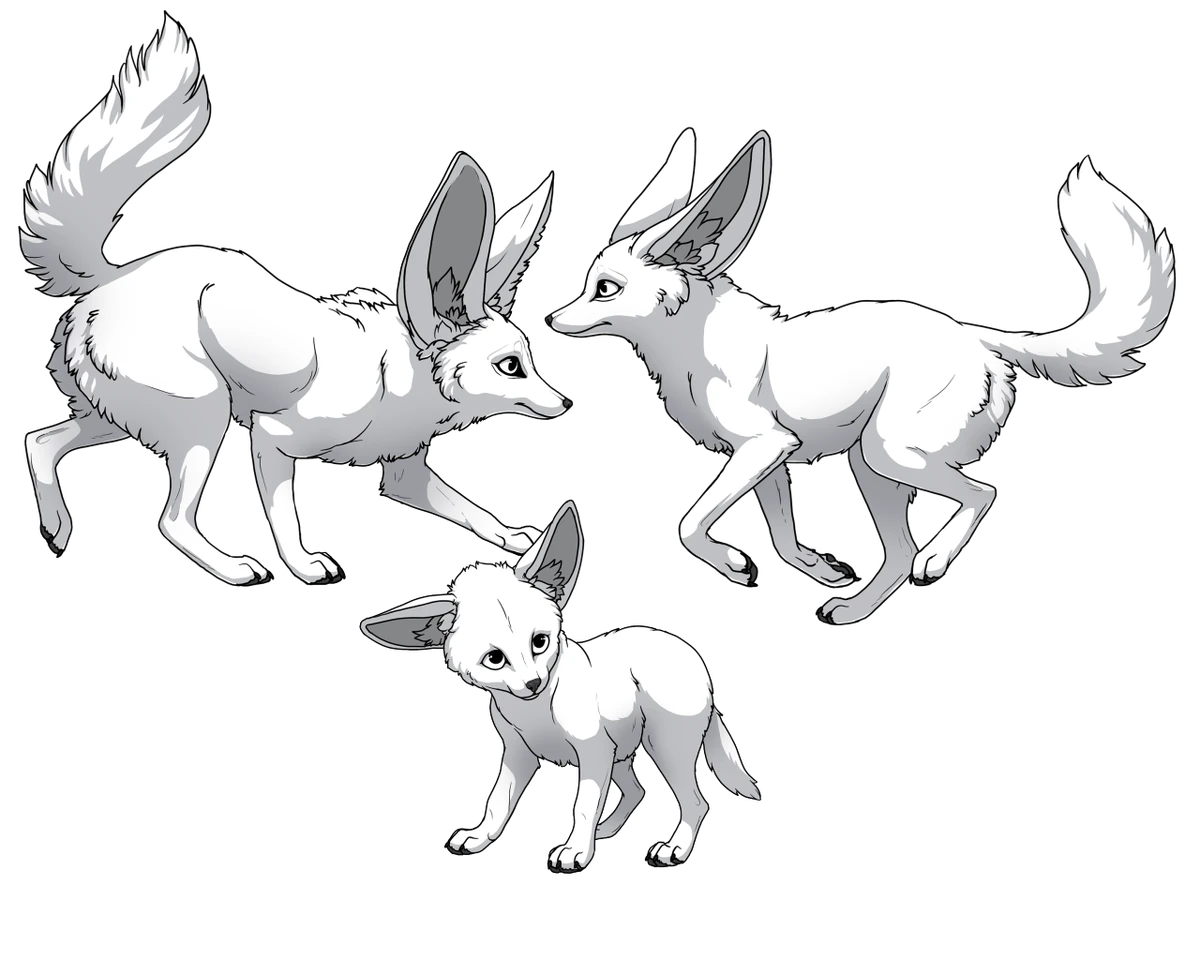 Zerda | Lorwolf Wiki | Fandom