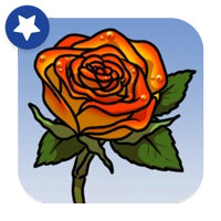 Sunfire Rose | Lorwolf Wiki | Fandom