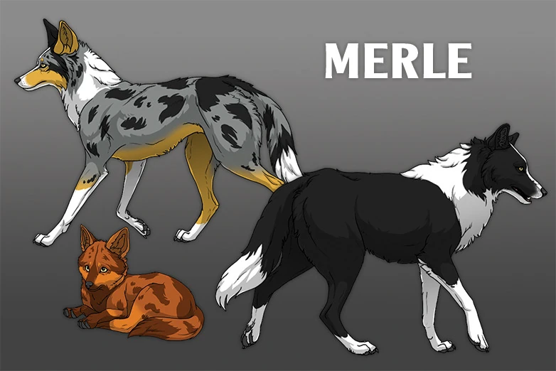Merle | Lorwolf Wiki | Fandom