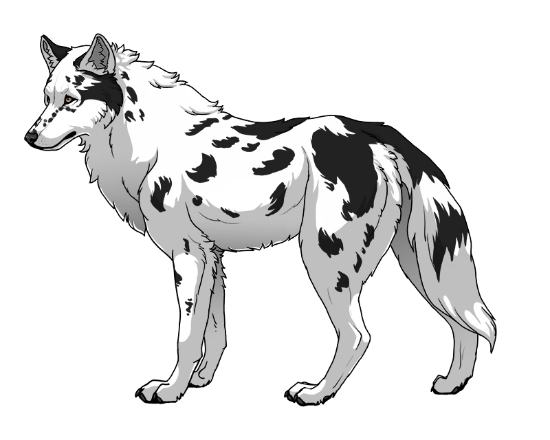 Speckled Wolf