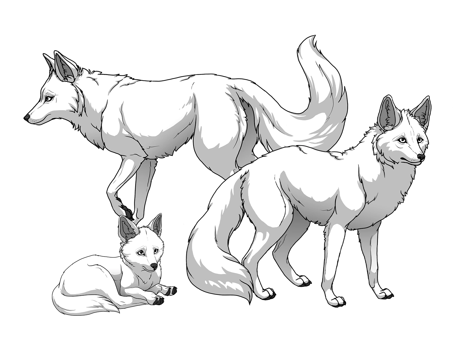 Anime Wolves Mating Coloring Pages