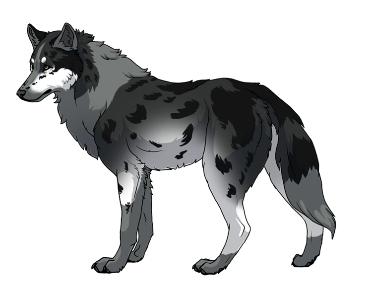 Merle | Lorwolf Wiki | Fandom