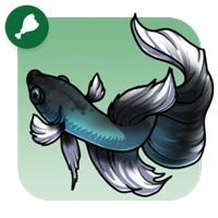Midnight Betta | Lorwolf Wiki | Fandom