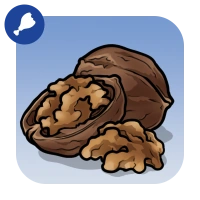 Walnut | Lorwolf Wiki | Fandom