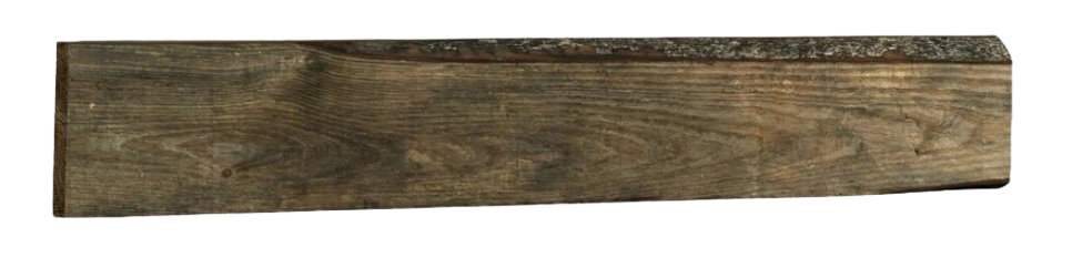 BBP - BASE BUILDING PLUS | Wiki Los Caminantes | Fandom