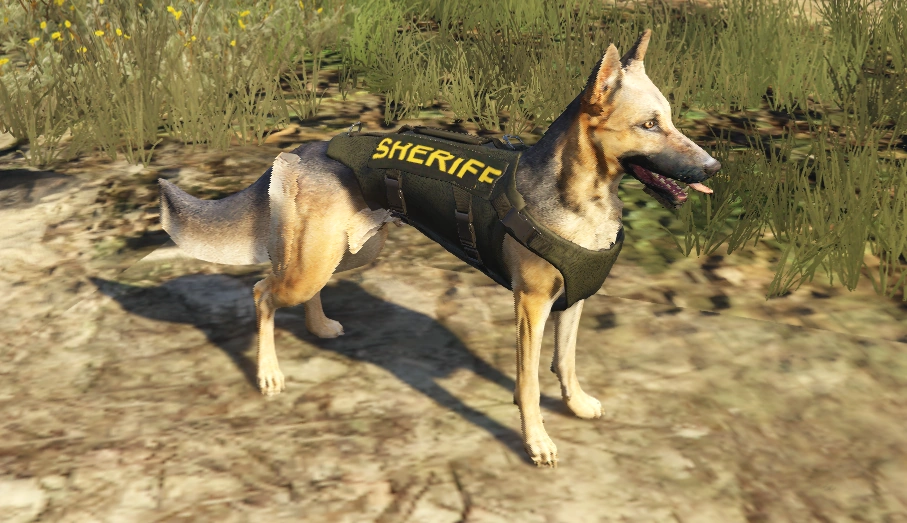 Tom Highway | Wiki Los Sharkos V2 | Fandom