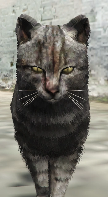 Maria | Wiki Los Sharkos | Fandom