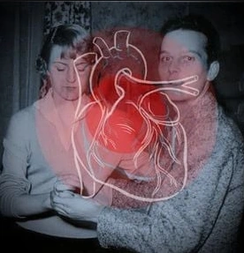 Songs About Your Girlfriend | Los Campesinos! Wiki | Fandom