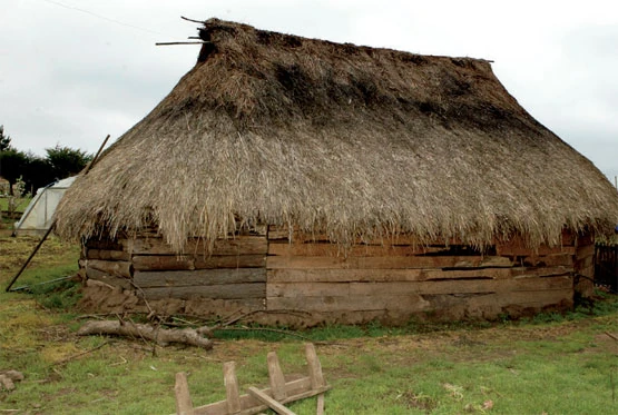 Vivienda mapuche | Wiki Loshumanitos | Fandom