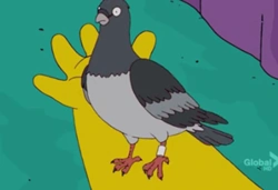 Raymond | Simpson Wiki en Español | Fandom