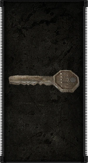 Forgotten key | Lost Alpha Wiki | Fandom