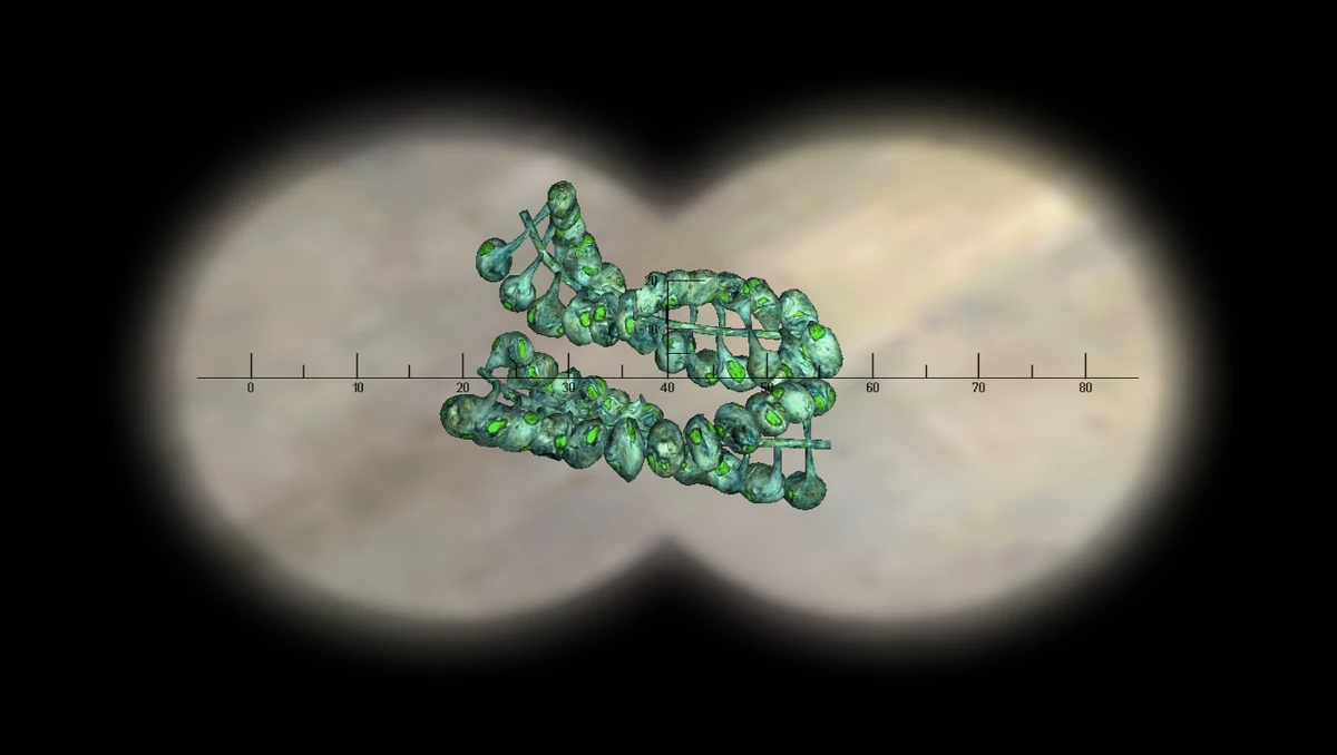 Green beads | Lost Alpha Wiki | Fandom