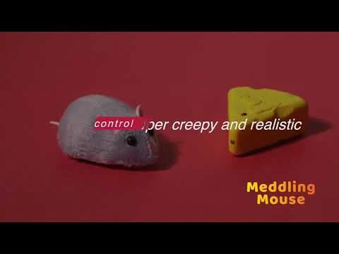 Meddling Mouse | Lost Animatronics Wiki | Fandom