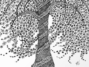 Panakes | Keeper of the Lost Cities Wiki | Fandom