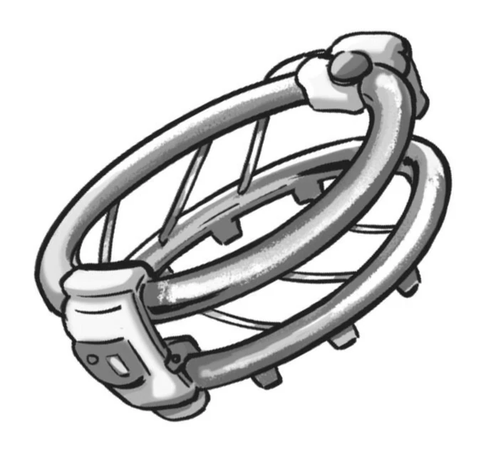 The Warden | Keeper of the Lost Cities Wiki | Fandom