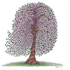 The Plague | Keeper of the Lost Cities Wiki | Fandom