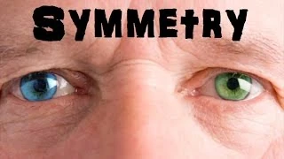 Symmetry (Read by David Near) | Lost YouTube Media Wiki | Fandom