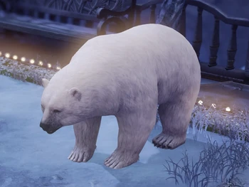Polar Bear Turry - Lost Ark Wiki