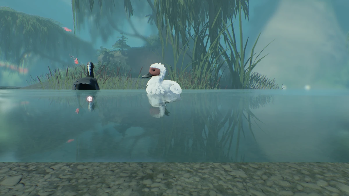 Duck | Lost Ember Wiki | Fandom