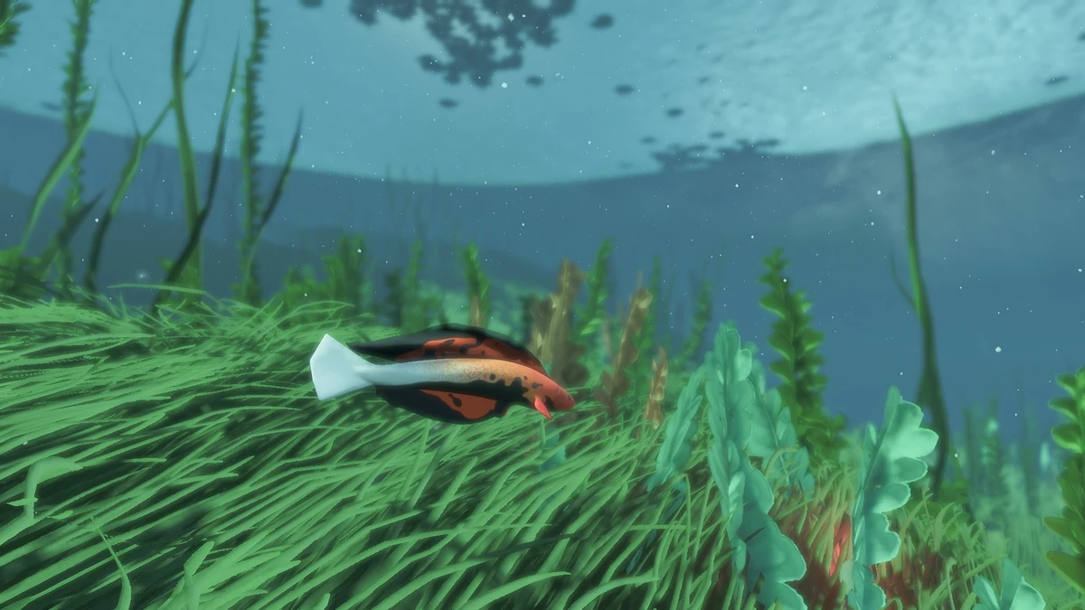 Fish | Lost Ember Wiki | Fandom