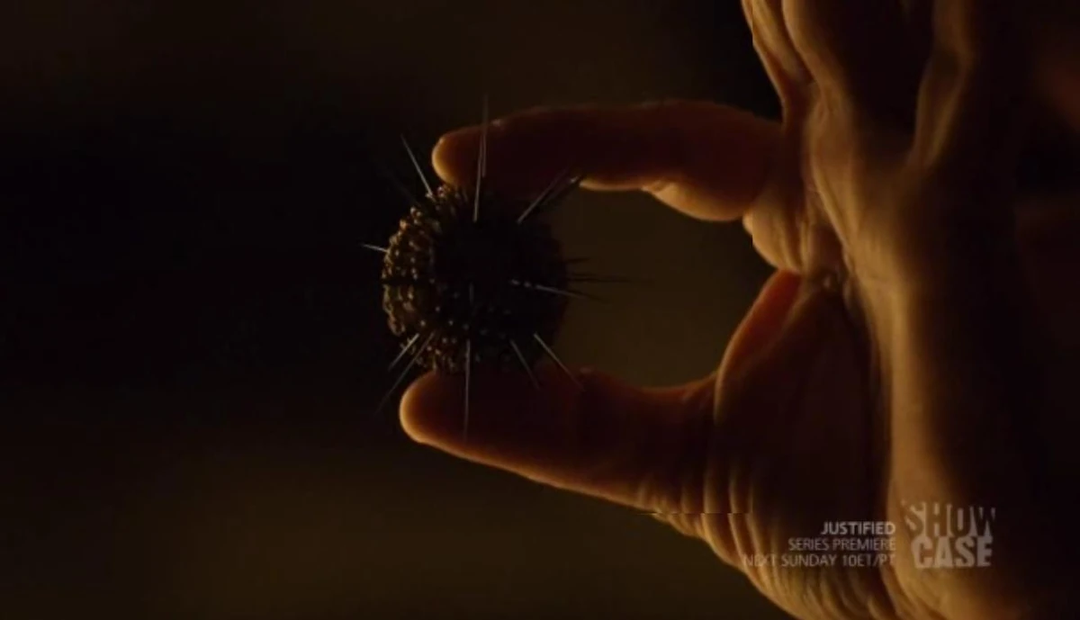 Pixie Impaler | Lost Girl Wiki | Fandom