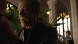 Wolf Shifter | Lostgirlmyths Wiki | Fandom