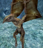 Wyvern | Lost Kingdoms Wiki | Fandom