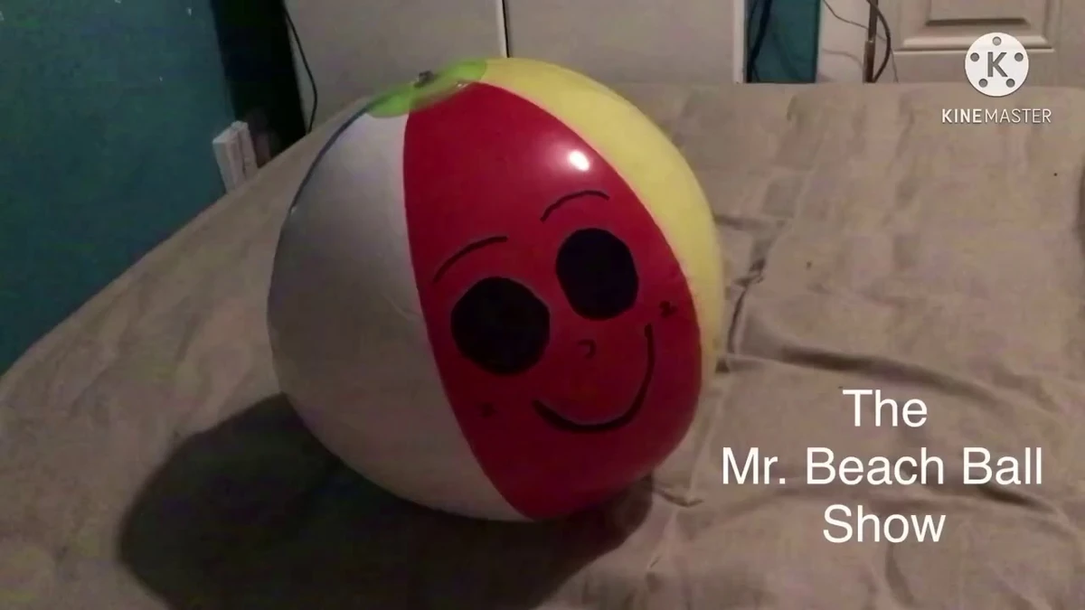 The Mr. Beach Ball Show (Webseries by BeachBall Boy 19) | Lost Media ...