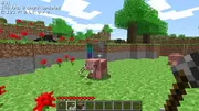 Minecraft Java Edition (versiones parcialmente encontradas; 2009 ...