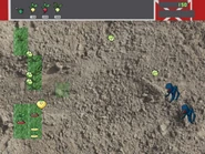 Pvz prototype | Lost Media Archive | Fandom